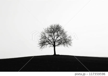 A stark tree silhouette stands alone against a...のイラスト素材 [117359596 ...