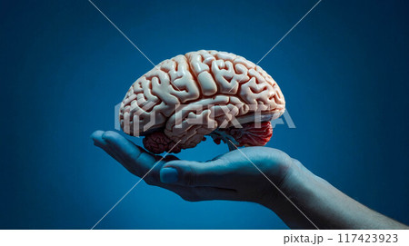 A realistic brain being held by a hand against...のイラスト素材 [117423923 ...