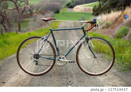 A stylish vintage bicycle with a copper-colored...のイラスト素材 [117514437 ...