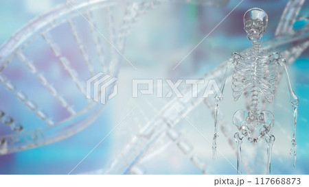 The crystal skeleton for medical or health...のイラスト素材 [117668873] - PIXTA