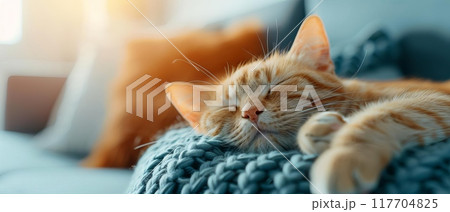 Adorable orange cat peacefully sleeping on cozy...のイラスト素材 [117704825] - PIXTA