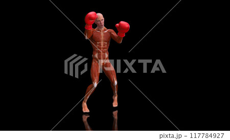 Abstract 3D anatomy of a man boxingのイラスト素材 [117784927] - PIXTA