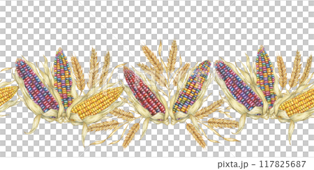 Corn seamless border clipart showcases colorful...のイラスト素材 [117825687 ...