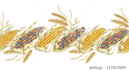Corn seamless border clipart illustrates...のイラスト素材 [117825690] - PIXTA