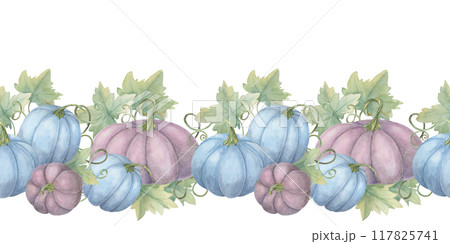 Squash seamless border showcases purple and...のイラスト素材 [117825741] - PIXTA