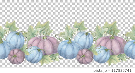 Squash seamless border showcases purple and...のイラスト素材 [117825741] - PIXTA