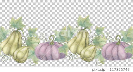 Squash seamless border clipart presents a mix...のイラスト素材 [117825745] - PIXTA