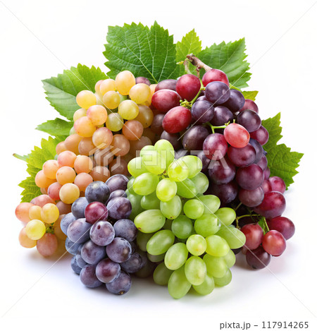 Bunch of grapes of different varieties and...のイラスト素材 [117914265] - PIXTA