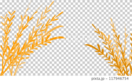 Yellow rice plant illustration backgroundのイラスト素材 [117946754] - PIXTA