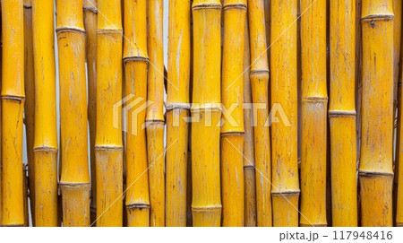Yellow bamboo texture. Dried bamboo wall or...のイラスト素材 [117948416] - PIXTA