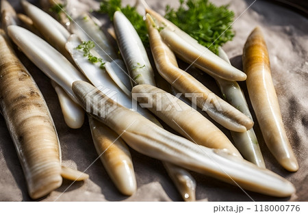 Fresh razor clams from the sea, ideal for...のイラスト素材 [118000776] - PIXTA