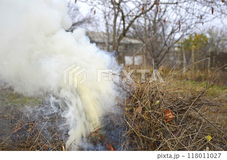 fire and acrid thick smoke from burning dry...の写真素材 [118011027] - PIXTA