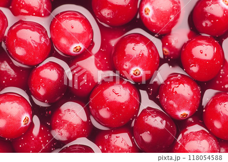 Closeup of fresh cranberries piled together,...のイラスト素材 [118054588] - PIXTA