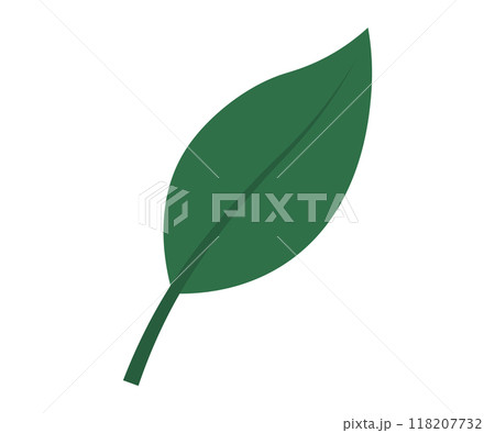 Leaves vector illustration. In botanical realm,...のイラスト素材 [118207732 ...