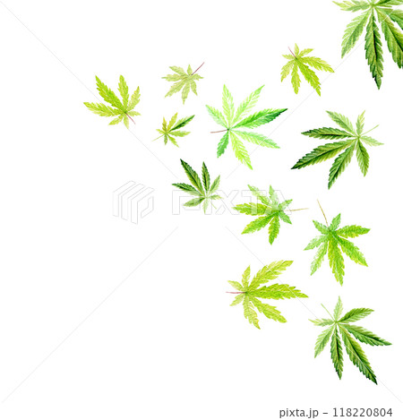 Banner, template with a green triangle of...のイラスト素材 [118220804] - PIXTA