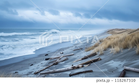 A windswept beach with scattered driftwood,...のイラスト素材 [118267310] - PIXTA