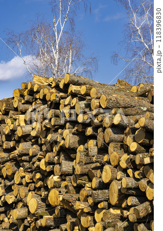 wooden logs on the open airの写真素材 [118396830] - PIXTA