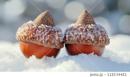 Frosty acorns resting on a snowy surface during...のイラスト素材 [118534481 ...