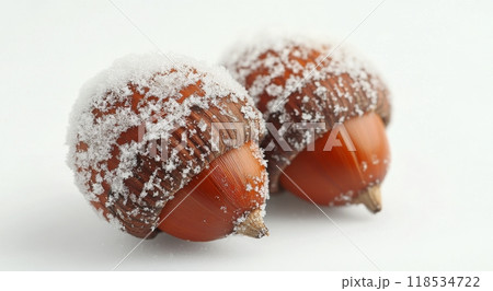 Frosty acorns resting on a snowy surface during...のイラスト素材 [118534722 ...