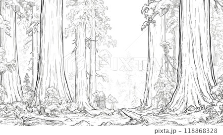 Forest of Tall Sequoias Coloring Book Page...のイラスト素材 [118868328] - PIXTA