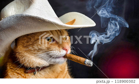Funny ginger cat in cowboy hat smoking a cigar...のイラスト素材 [118900302 ...