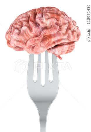 Fork with Human Brain, 3D renderingのイラスト素材 [118951459] - PIXTA