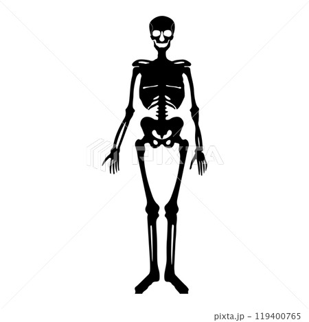 Human skeleton iconのイラスト素材 [119400765] - PIXTA