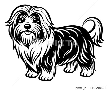 maltese dog full body icon. Black and white...のイラスト素材 [119598627] - PIXTA