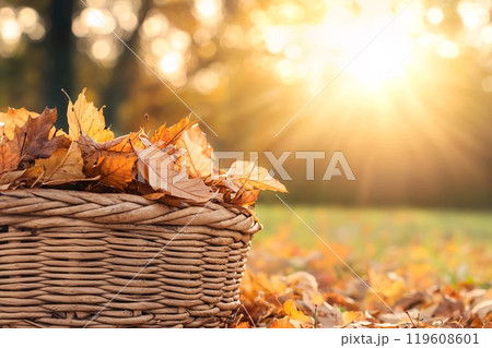 Fall botany leaves in the Autumn season....のイラスト素材 [119608601] - PIXTA