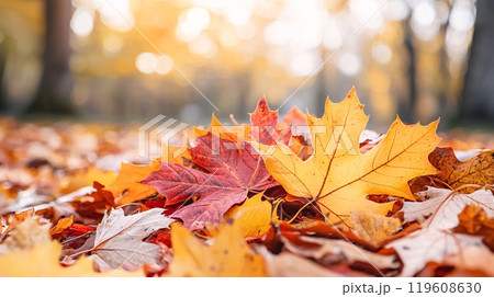 Fall botany leaves in the Autumn season....のイラスト素材 [119608630] - PIXTA