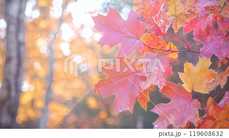 Fall botany leaves in the Autumn season....のイラスト素材 [119608632] - PIXTA
