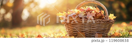 Fall botany leaves in the Autumn season....のイラスト素材 [119608638] - PIXTA