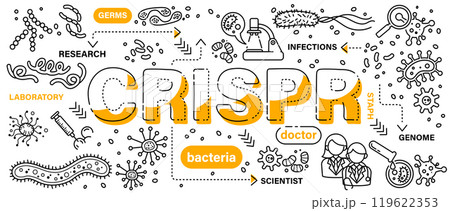 CRISPR-Cas9 . Biotechnology and genetic...のイラスト素材 [119622353] - PIXTA