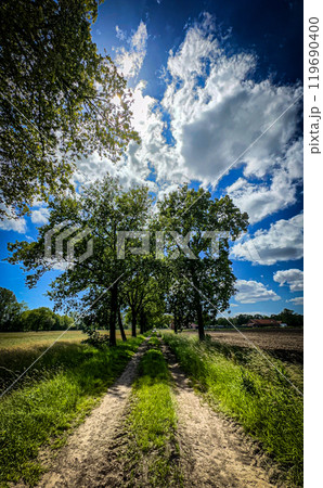 A Beautiful and Scenic Country Pathway That...の写真素材 [119690400] - PIXTA
