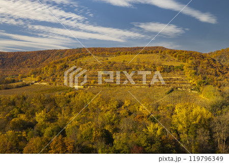 Nine Mills Viewpoint near Hnanice, NP Podyji,...の写真素材 [119796349] - PIXTA