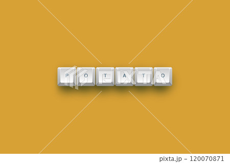 Potato text on a 3d keyboard button with shadow...のイラスト素材 [120070871 ...