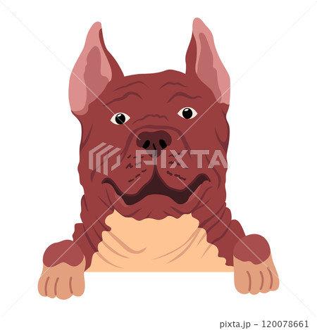 Dog hanging on border. Portrait of muzzles with...のイラスト素材 [120078661 ...