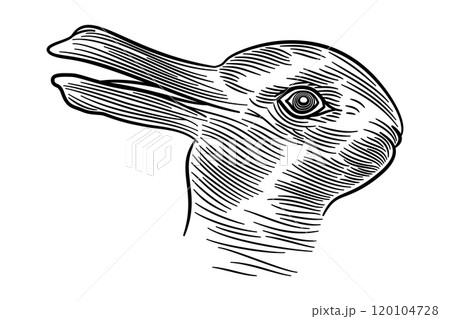Rabbit-duck illusion. An Ambiguous image,...のイラスト素材 [120104728] - PIXTA