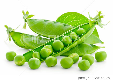 Green pea pod fresh healthy vegetable isolated...のイラスト素材 [120168289 ...