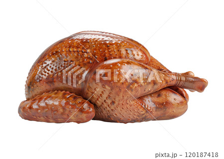 Delicious cooked whole turkey, side viewのイラスト素材 [120187418] - PIXTA