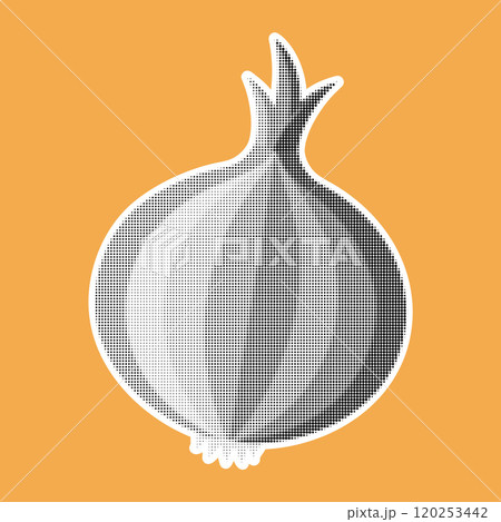 Onion. Trendy halftone style retro black and...のイラスト素材 [120253442] - PIXTA