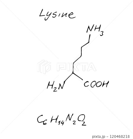 Lysine C6H14N2O2 molecule formula. Hand drawn...のイラスト素材 [120468218] - PIXTA