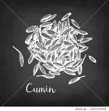 Cumin seeds chalk sketch.のイラスト素材 [120514346] - PIXTA