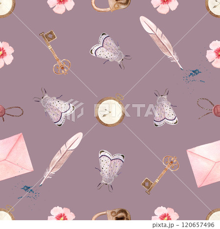 Antique key and a lock, pink moth, a quill and...のイラスト素材 [120657496 ...