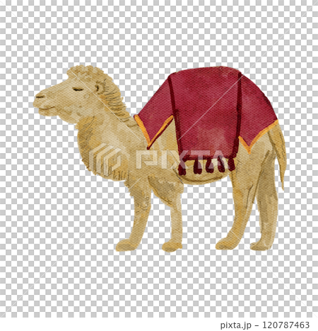 Camel with rich red saddle, blanket Christmas...のイラスト素材 [120787463] - PIXTA