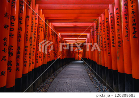 Red traditional japanese gates, Kyoto, Japanの写真素材 [120809683] - PIXTA