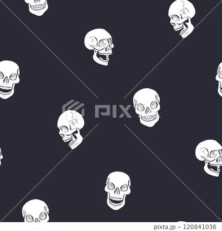 Seamless pattern with hand drawn inky skullsのイラスト素材 [120841036] - PIXTA