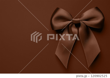 Elegant textured mocha mousse brown ribbon bow...のイラスト素材 [120902525 ...