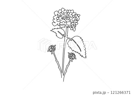 Single one line drawing beauty fresh lantana...のイラスト素材 [121266371] - PIXTA