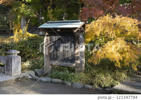 Tsurugaoka Hachimangu shrine in Kamakura, Japan.の写真素材 [121397784] - PIXTA